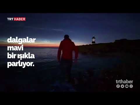 Planktonların ışığı dalgalarla buluşuyor