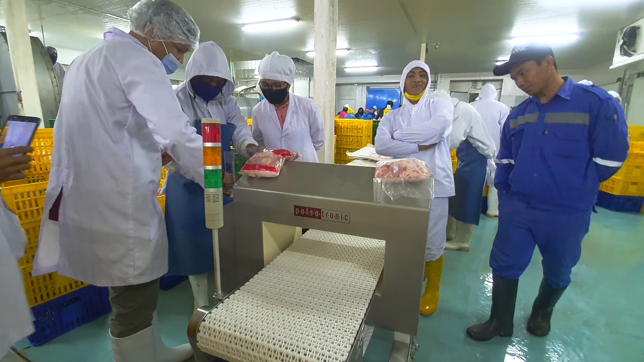 Testing & Commisioning Pulsotronic Metal Detector BD-HD 450x200 MFT For ...