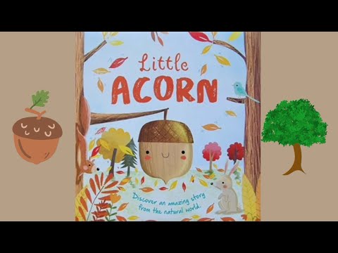 Little Acorn read aloud educational book for children. - YouTube
