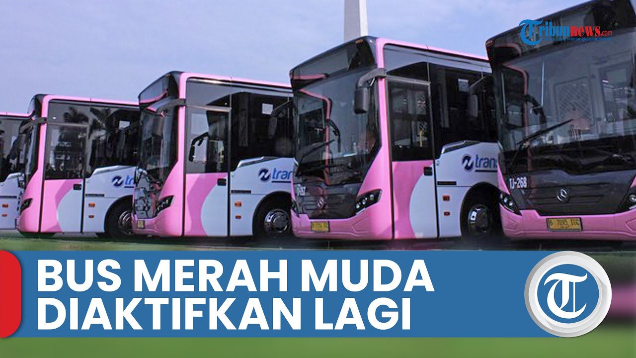 Bus Warna Merah Muda Khusus Perempuan Diaktifkan Lagi - YouTube