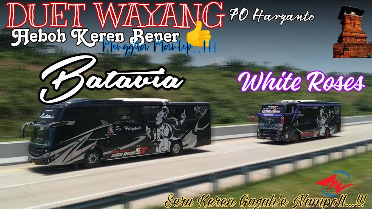 DUET MAUT WAYANG PO HARYANTO BATAVIA DAN WHITE ROSES ‼️ MENARIK SERU ...