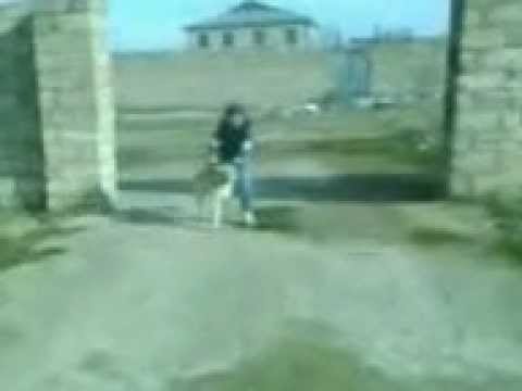 it davalari toplan vs topus