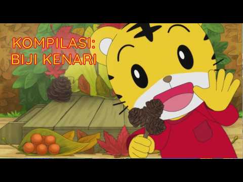 Kompilasi: Biji Kenari | Kartun Anak Bahasa Indonesia | Shimajiro Indonesia