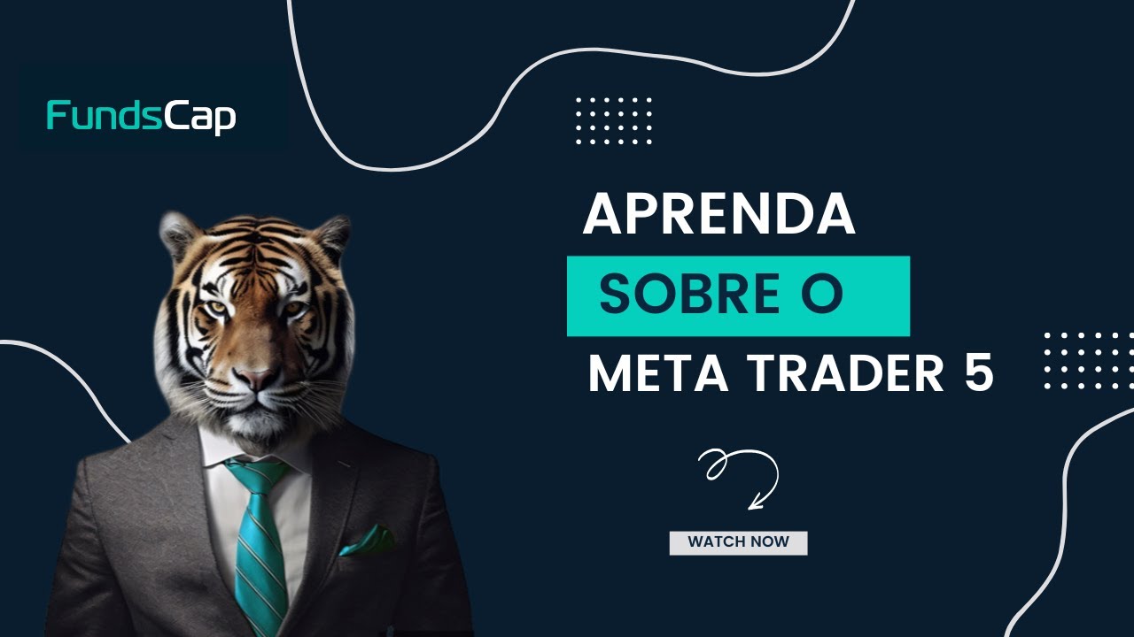 Aprenda sobre o Meta Trader 5 - YouTube