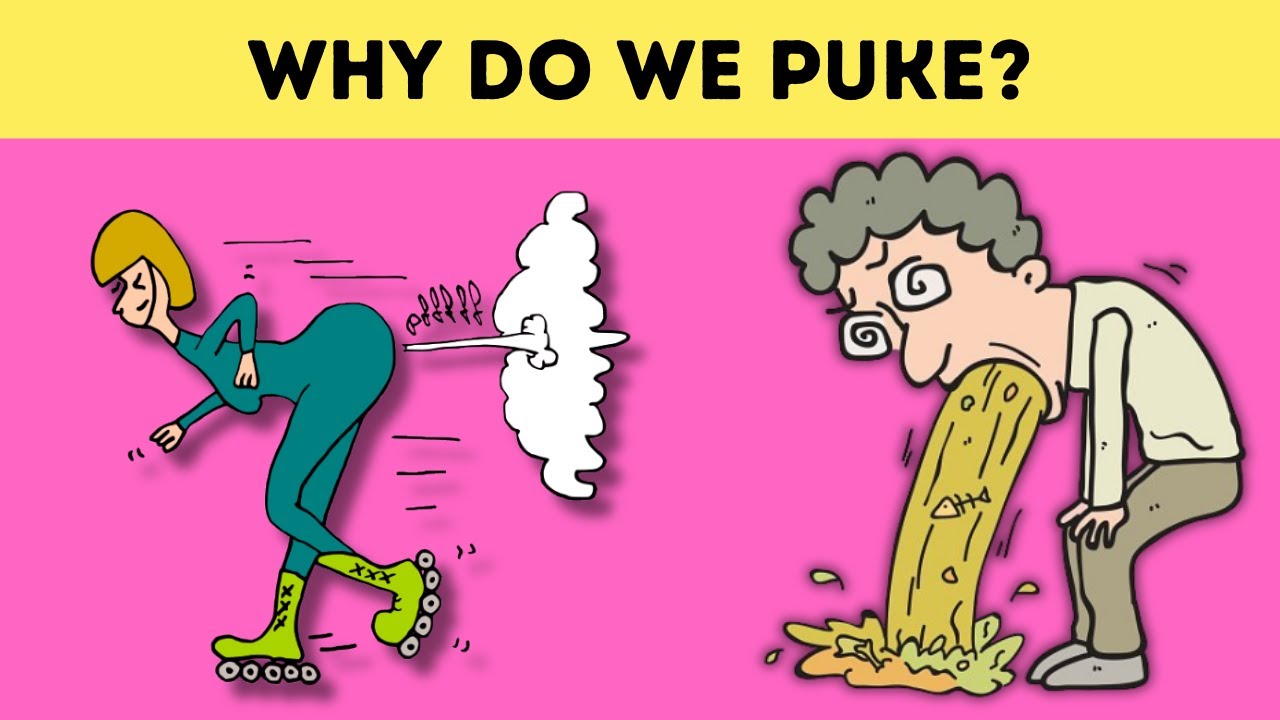 Why Do We Vomit Youtube
