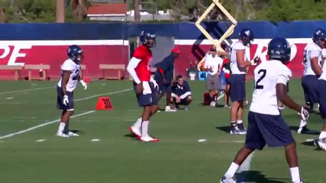 Jesse Scroggins embracing role with Arizona Wildcats; chasing dreams ...