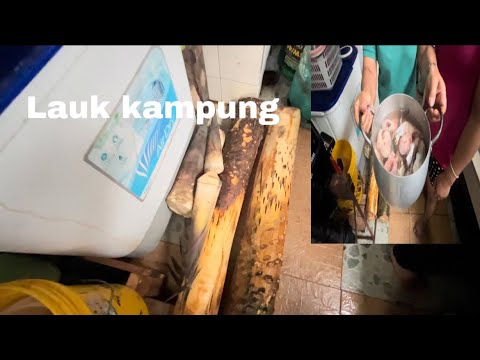 Ayah bawa lauk kampung dari rumah panjang//ulu mukah nanga woh - YouTube