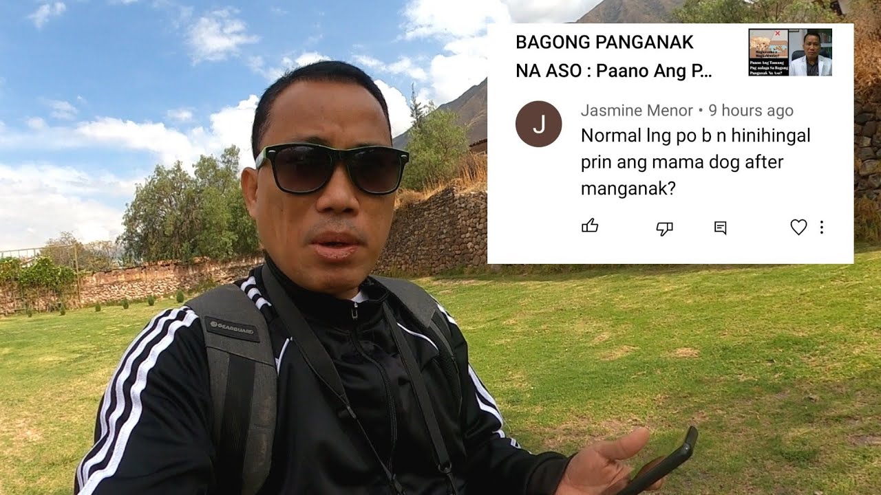 HINGAL NG ASO MATAPOS MANGANAK : NORMAL O ABNORMAL? - YouTube
