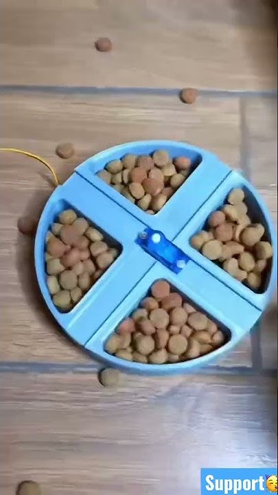 Automatic dog Feeder🔥using Servo motor and Arduino ️ #shorts # ...