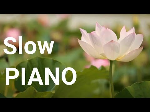 Beautiful Slow Piano Music: Calming Instrumental Background Music For ...