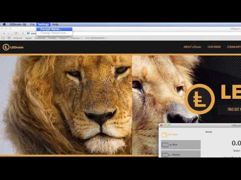 How to setup a leocoin wallet - YouTube