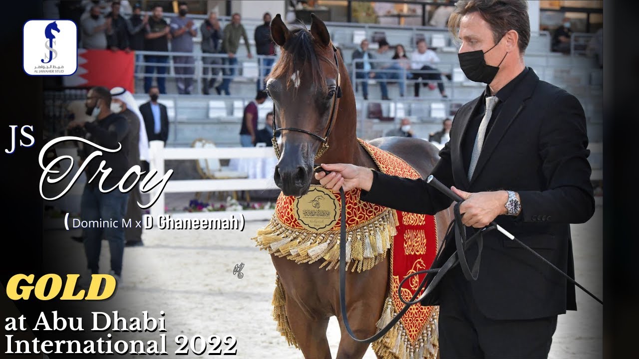 💥Js Troy💥GOLD CH at Abu Dhabi International 2022 - YouTube