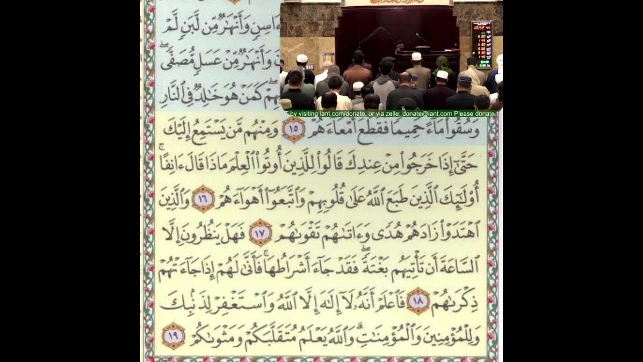 Muhammad‎ﷺ ‎2c v. 16-19 وَمِنْهُم مَّن يَسْتَمِعُ إِلَيْكَ - YouTube