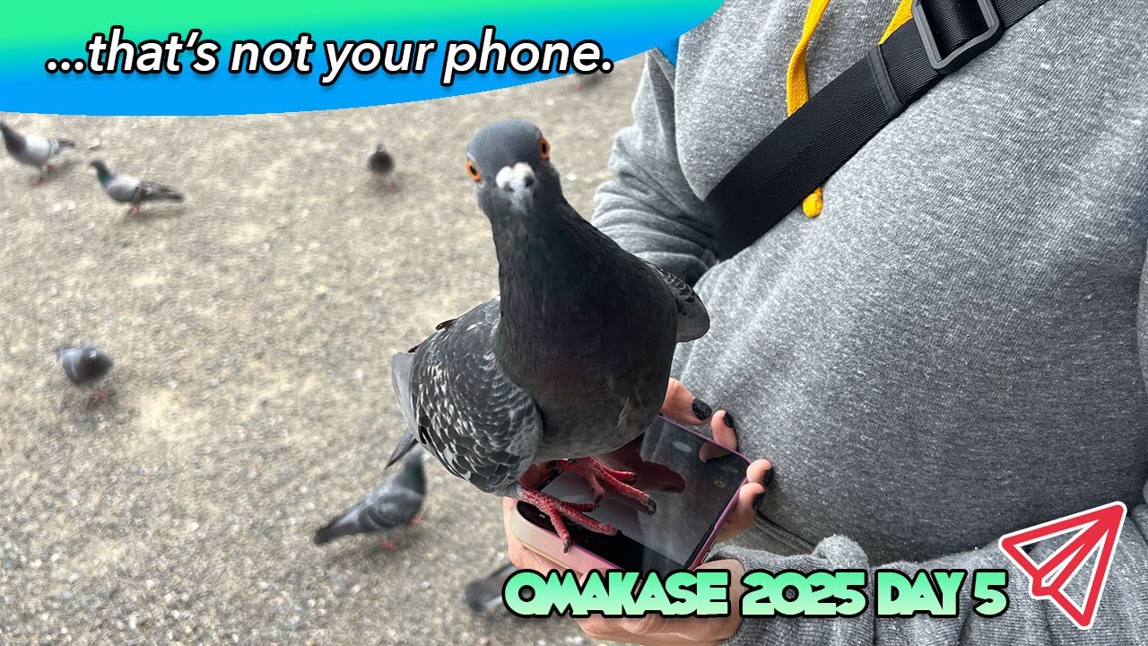 Figures, Cheese, and far too many Pigeons - YouTube