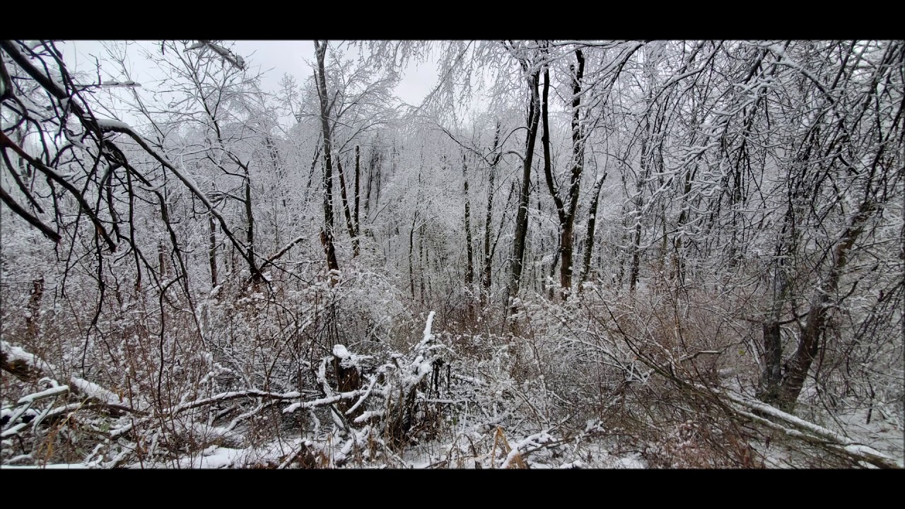 Memories on Vargo Hill (2021-1-3) - YouTube