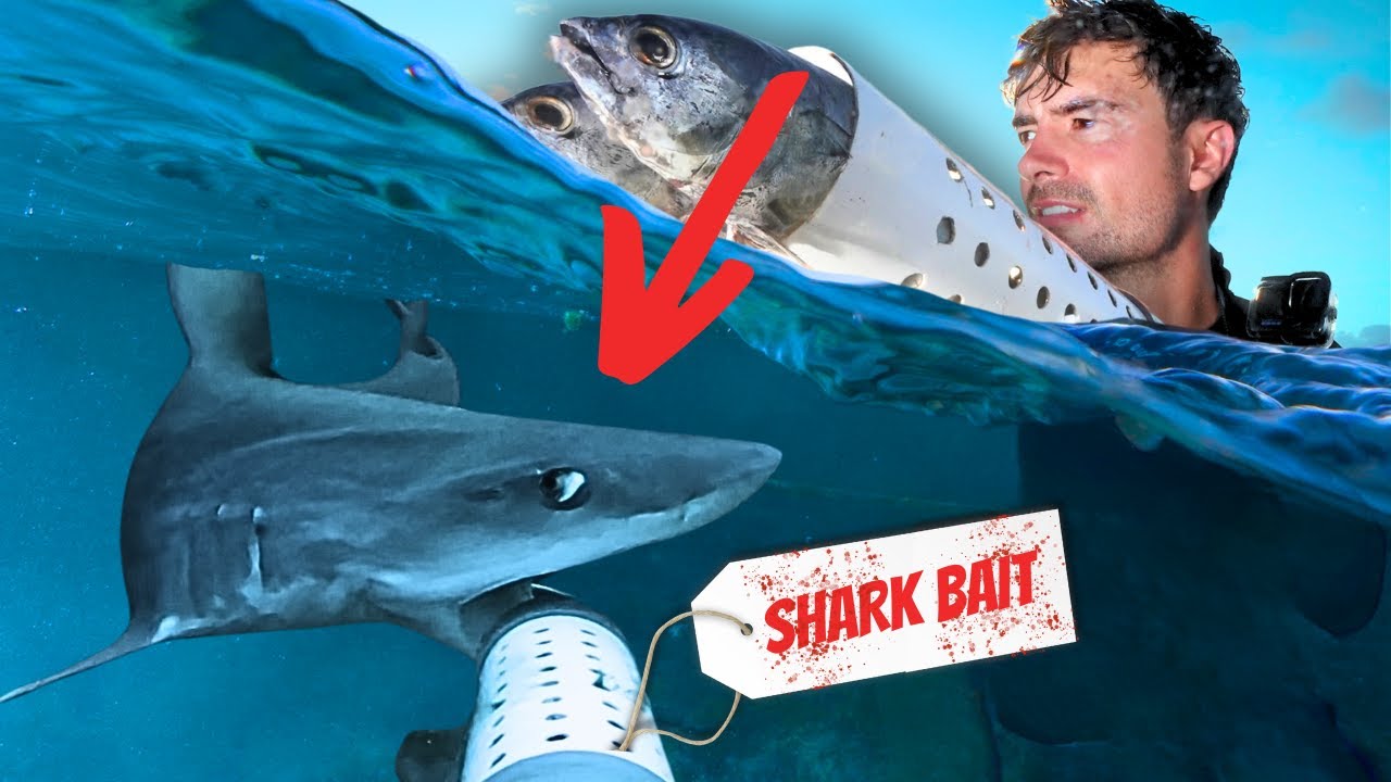 I Dropped A Camera Deep In The Ocean And Found This... - YouTube