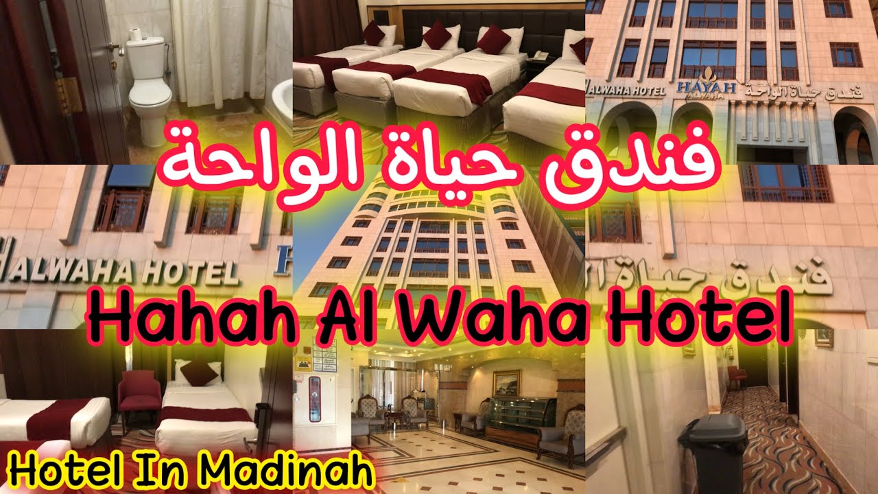 فندق حياة الواحة | Hayah Al Waha Hotel - YouTube