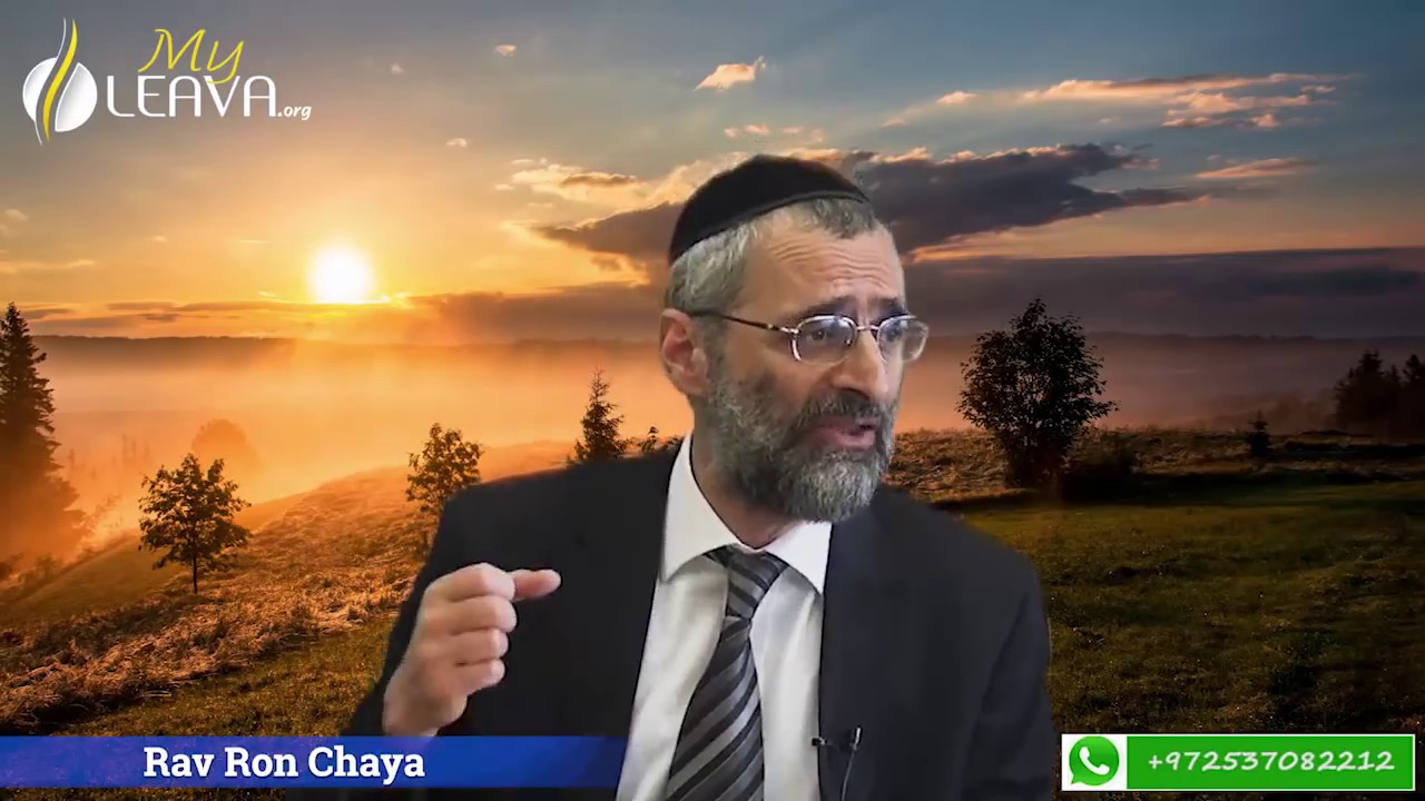 L'effort et la récompense - RAV RON CHAYA - YouTube