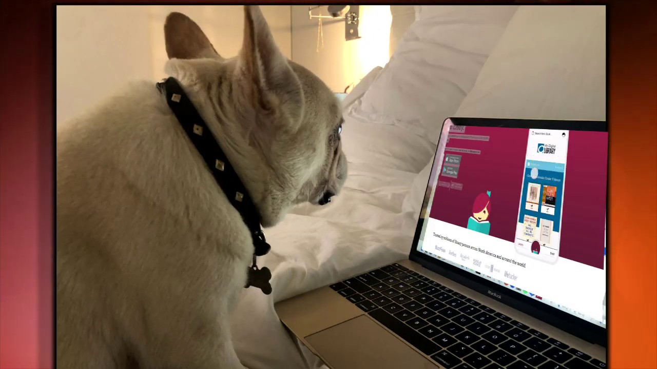How to use the Libby app to download eBooks and audiobooks - YouTube
