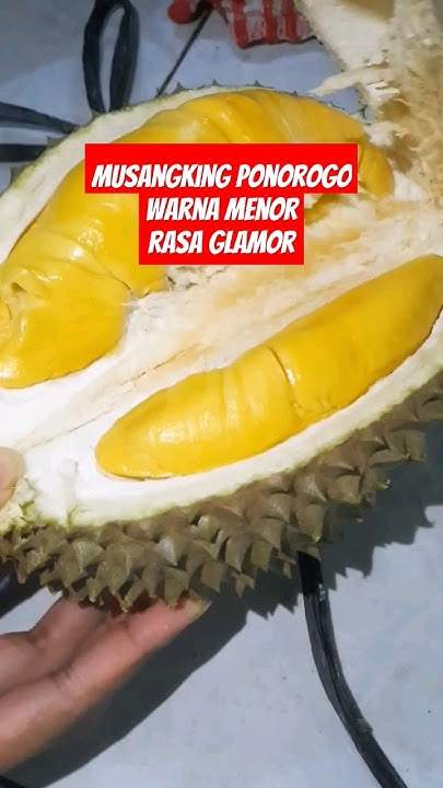 Durian terenak yang pernah saya makan - YouTube