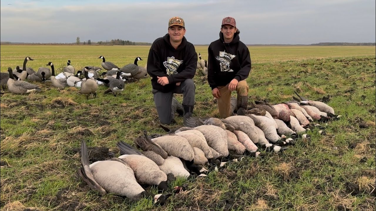 Epic Minnesota Goose Hunt! (5 Man Limit!) - YouTube