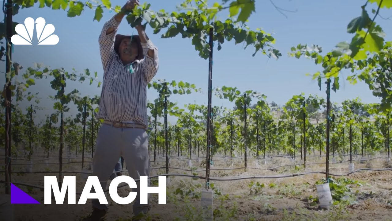 The Future Of Farming Without Farmworkers | Mach | NBC News - YouTube