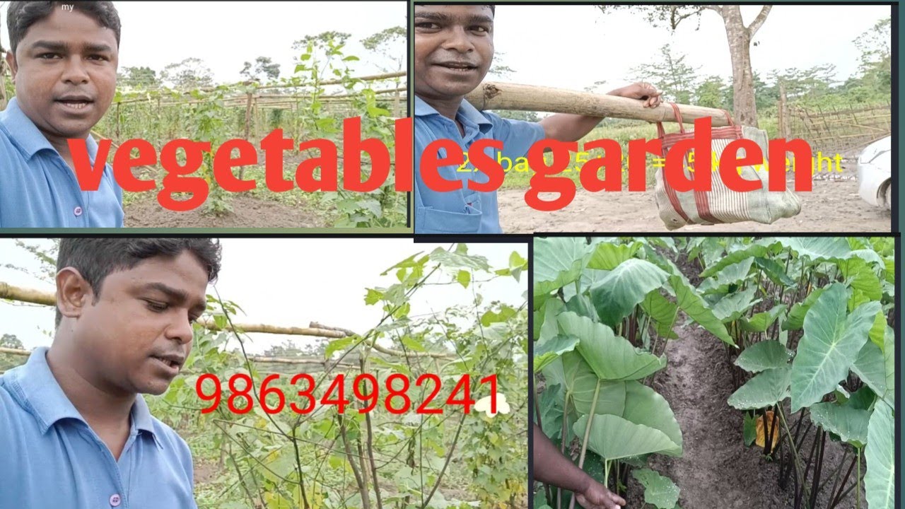 sobji ka bagan vegetables garden Village Life 🙏💯🙏👍🌶️🥒🌽🍆🍅 - YouTube