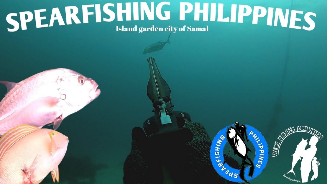 Spearfishing Philippines🇵🇭 at (ISLAND GARDEN CITY OF SAMAL🏝️) - YouTube