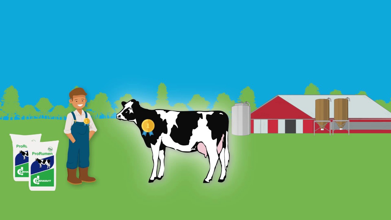 Denkavit ProRumen Nederlands - YouTube