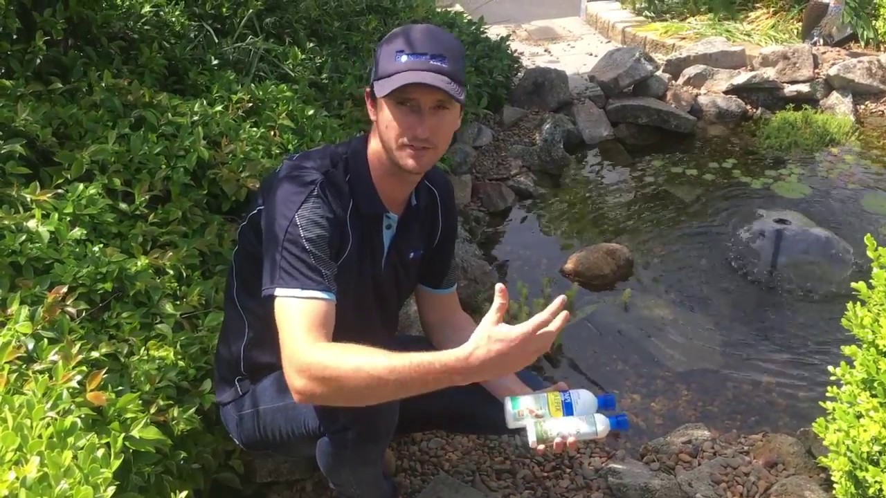 Pond Wand + Algaefix | The Pond Place Promotions - YouTube