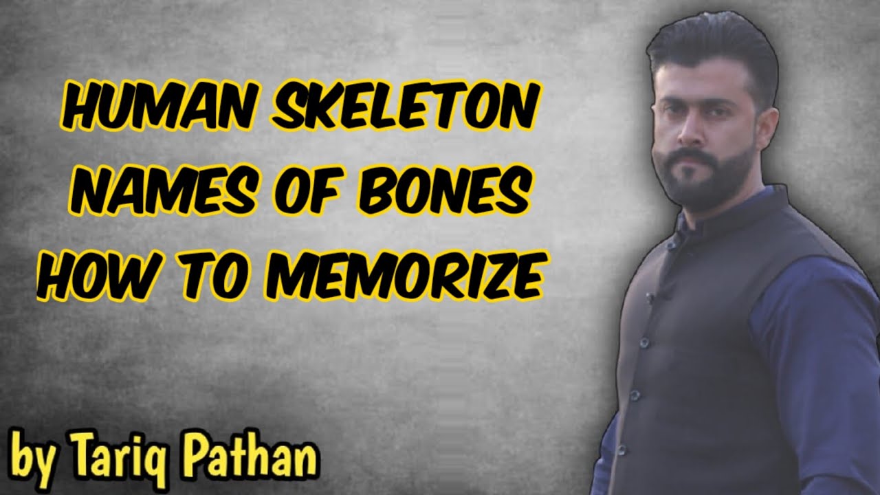 Human Skeleton Names Of Bones How To Memorize Tariq Pathan YouTube human-skeleton-names-of-bones-how-to-memorize-tariq-pathan-youtube