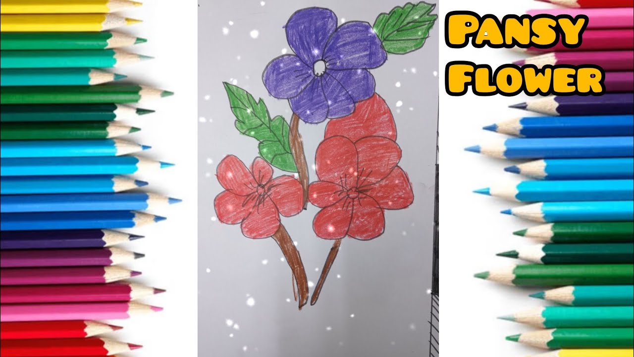 Pansy Flower Drawing Easy For Kids
