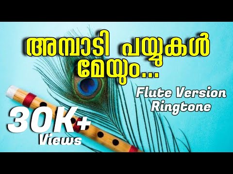Ambadi payyukal meyum flute ringtone bgm