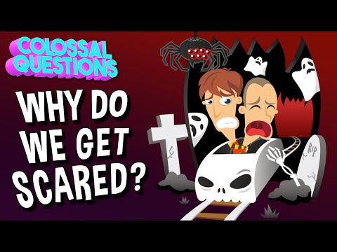 Why Do We Get Scared? | COLOSSAL QUESTIONS | Safe Videos for Kids