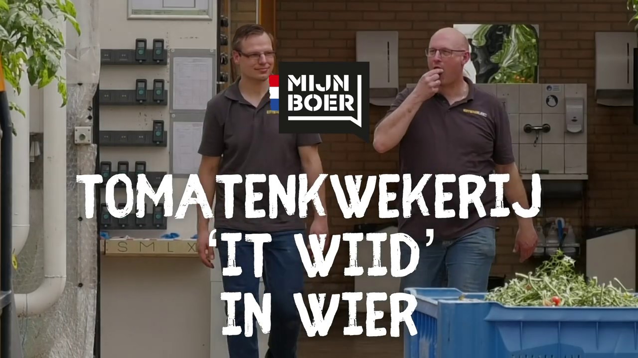 Mijnboer teler Johan Kuipers - Kwekerij 'It Wiid' - YouTube
