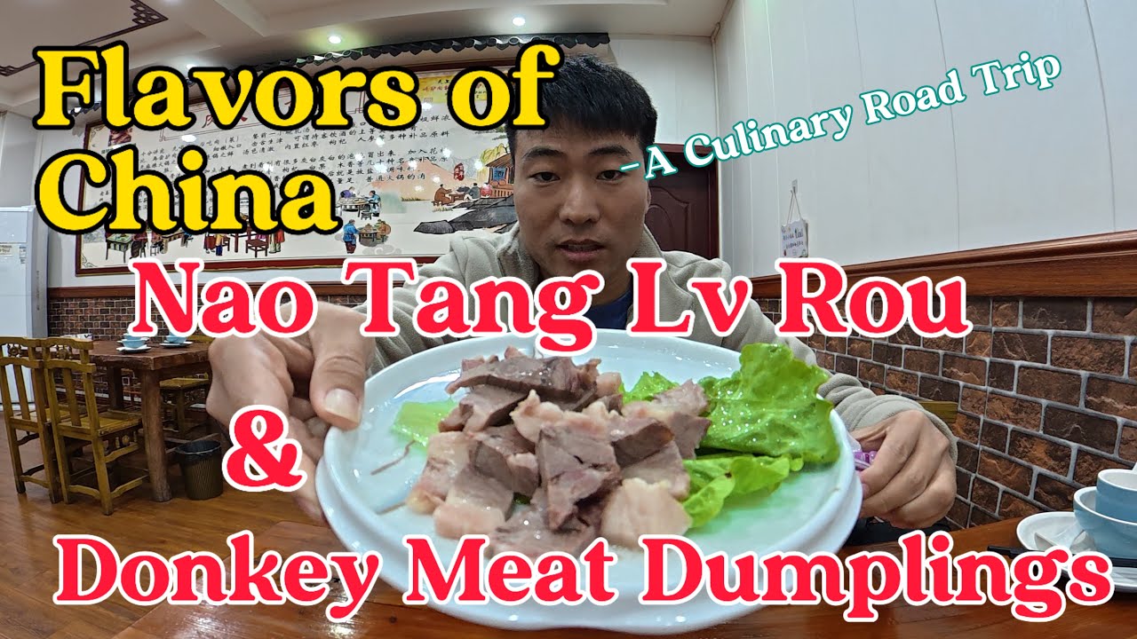 Donkey Meat DUEL: 6-Hour Braised vs. Exploding Dumplings - YouTube
