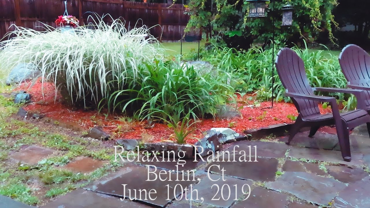 Relaxing Backyard Rainfall / June 10th 2019 - YouTube