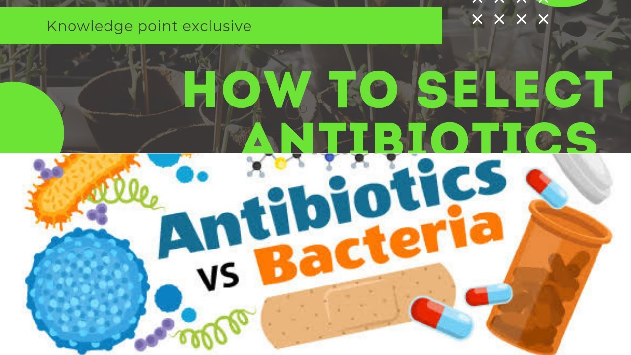 Antibiotics selection guide | The Antibiotics made easy |infections ...