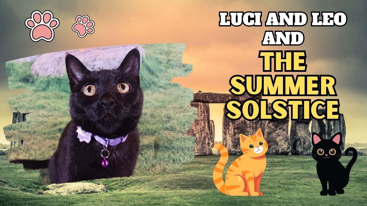 Luci and Leo And The Summer Solstice - YouTube