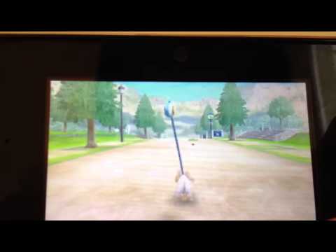 Nintendogs + cats taking Roxy on a walk - YouTube