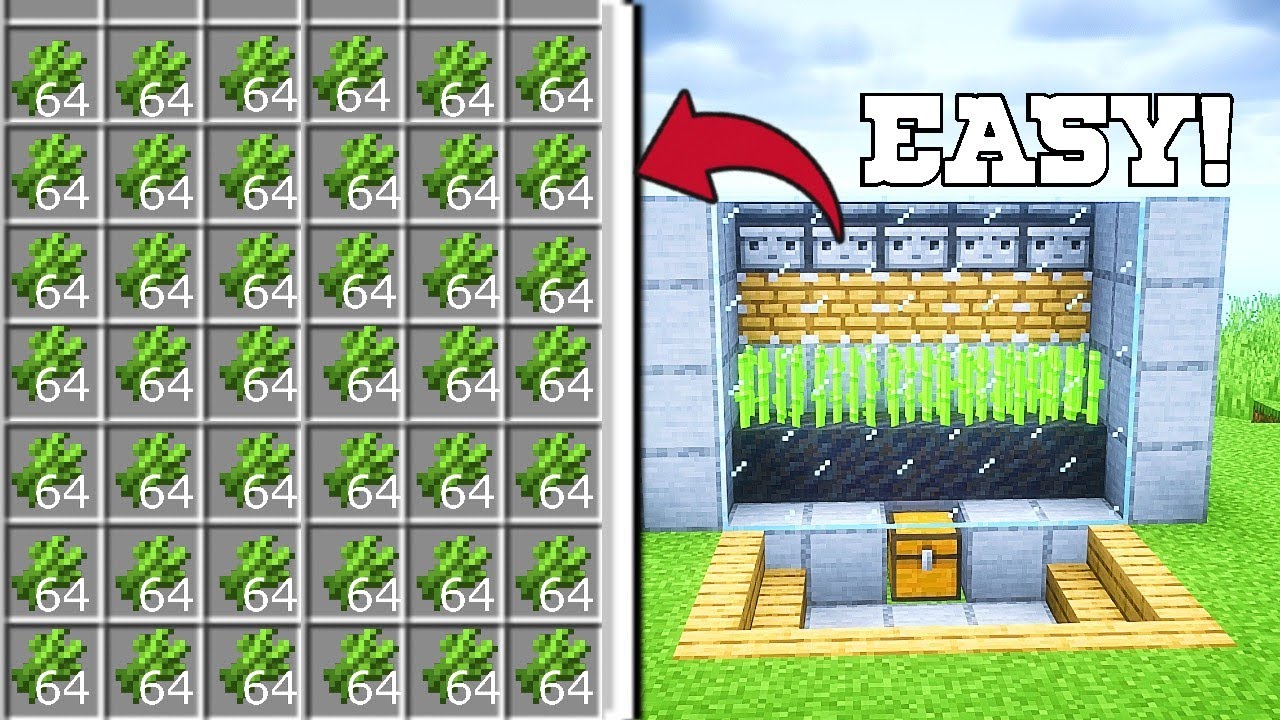 Minecraft Easiest Sugarcane Farm Ever 1.21! [JAVA & BEDROCK] - YouTube
