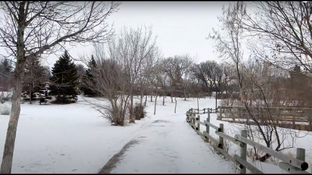 Walking in Regina, December 22, 2021: Hillsdale/Whitmore Park - YouTube