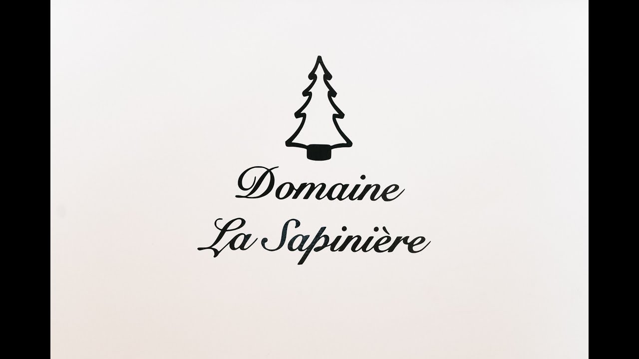 « Domaine La Sapinière » de Michel Depatie au Centre d'exposition de ...
