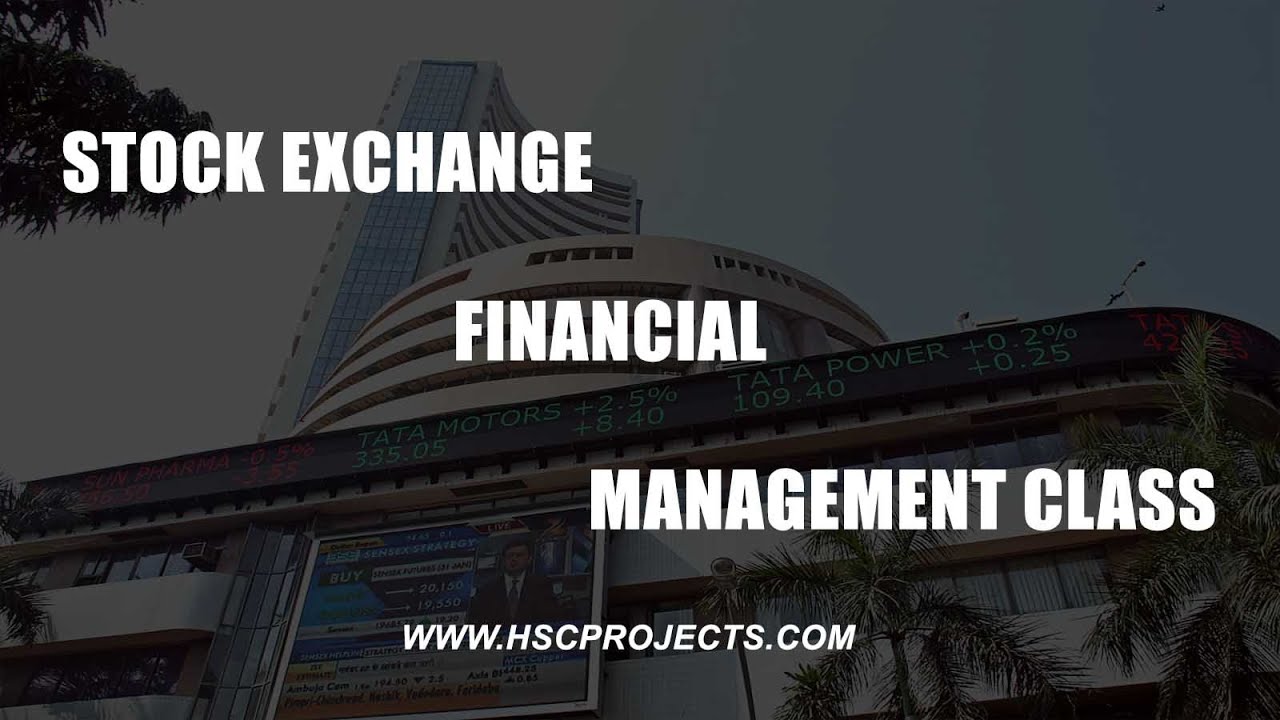 Stock Exchange Project Class 12 - YouTube