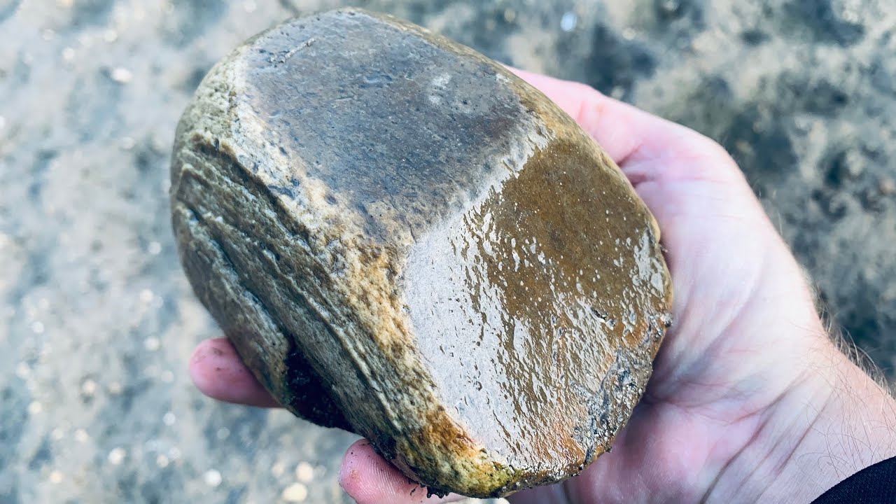 “Walking The Shoreline And Picking Up Unusual Rocks In North Georgia ...