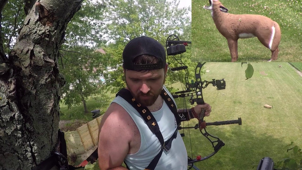 Shooting 3D Archery Targets - YouTube