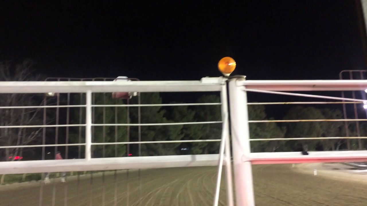 Cal-expo Harness racing from starter car - YouTube