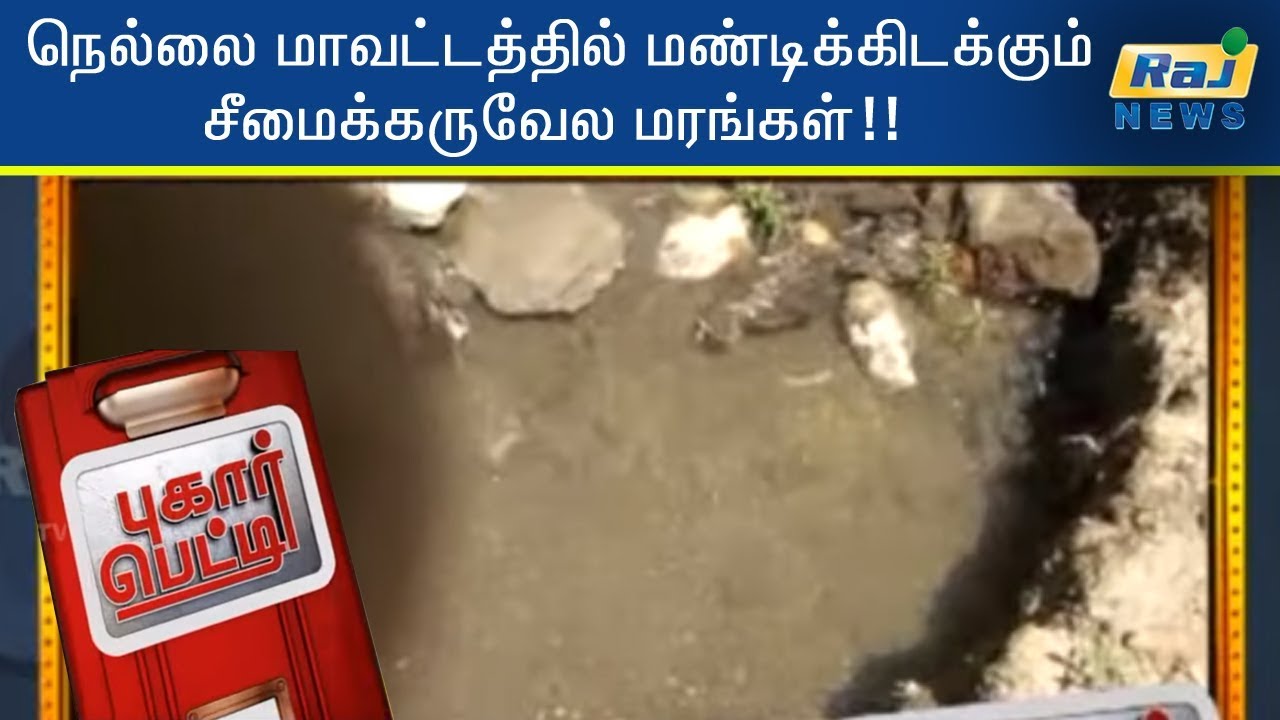 Pugar Petti | Dt - 05.07.2019 | Raj News Tamil - YouTube