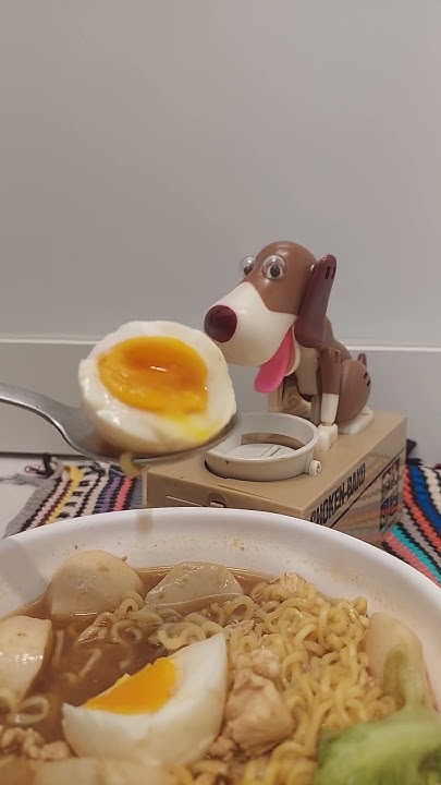 SATISFYING ASMR DOGGY WANT EGG WITH NOODLES #asmr #asmrvideos #satisfying #food #interesting ...