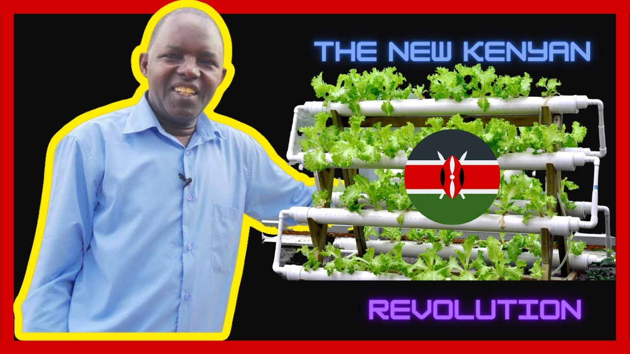 From Humble Beginnings to Agricultural Visionary: Meet Dr. Peter Chege ...